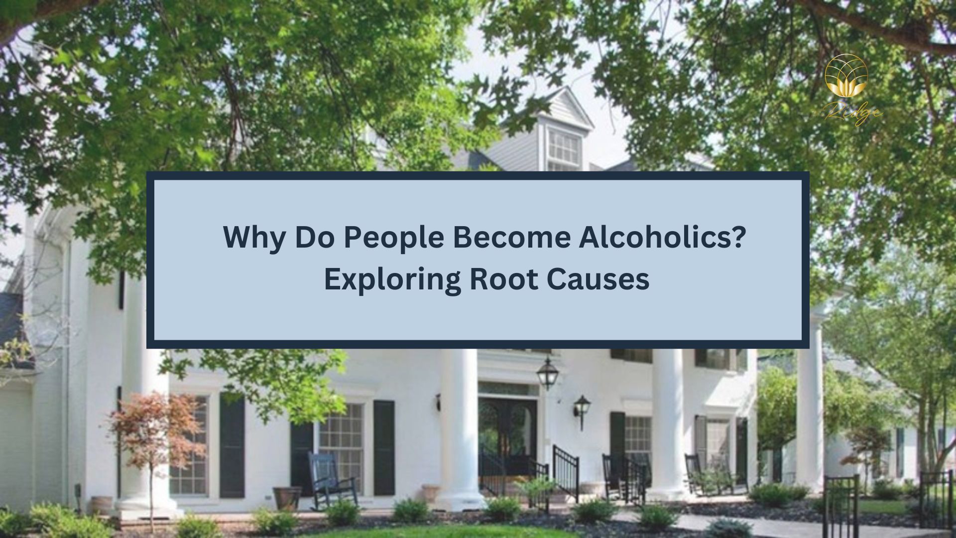Why Do People Become Alcoholics? Exploring Root Causes | The Ridge Ohio ...